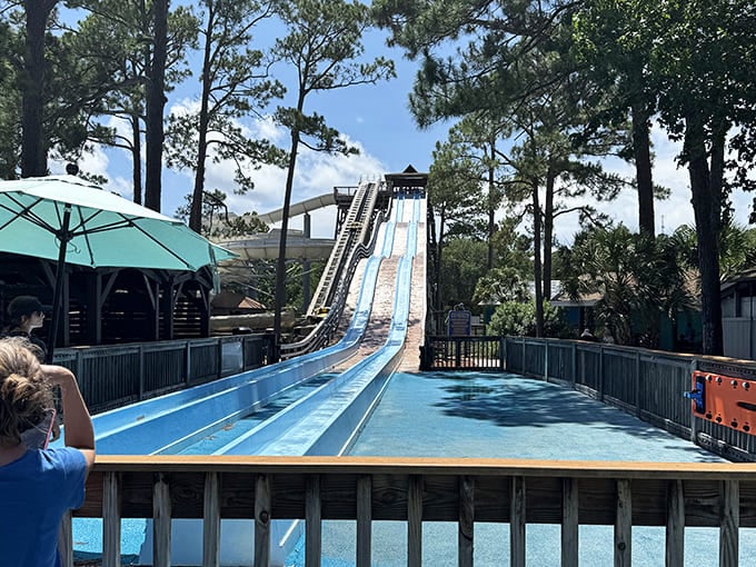 Pirates Plunge: Where courage meets gravity in a vertical descent that turns even the bravest landlubbers into screaming sailors.