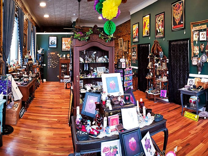 Polished wood floors and tin ceilings create an atmosphere where every object gets the gallery treatment it deserves, no velvet ropes required.