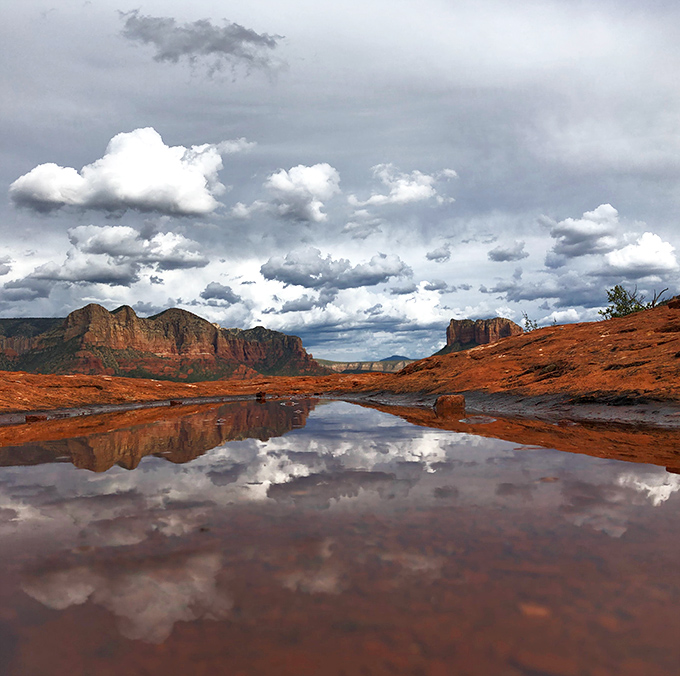 After desert rains, ephemeral pools become nature's mirrors, doubling the beauty with perfect reflections of Sedona's famous skyline.
