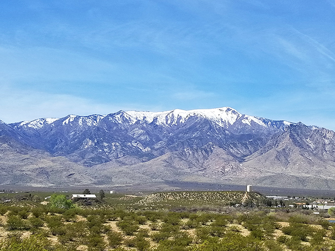 Mount Graham stands majestically on the horizon, looking like it's posing for a calendar shoot every single day.
