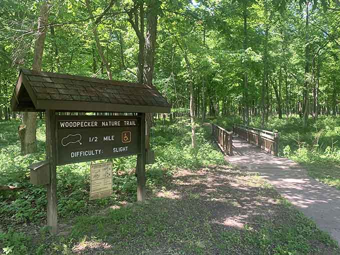 The Ellwood House Museum's Victorian grandeur makes you wonder if your own home might be slightly under-decorated by comparison.