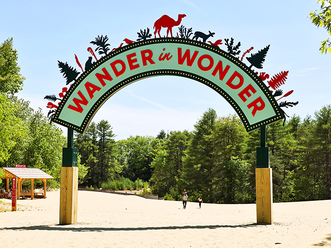 The "Wander in Wonder" arch invites visitors into this surreal landscape, promising an experience that defies Maine's typical postcard scenes.