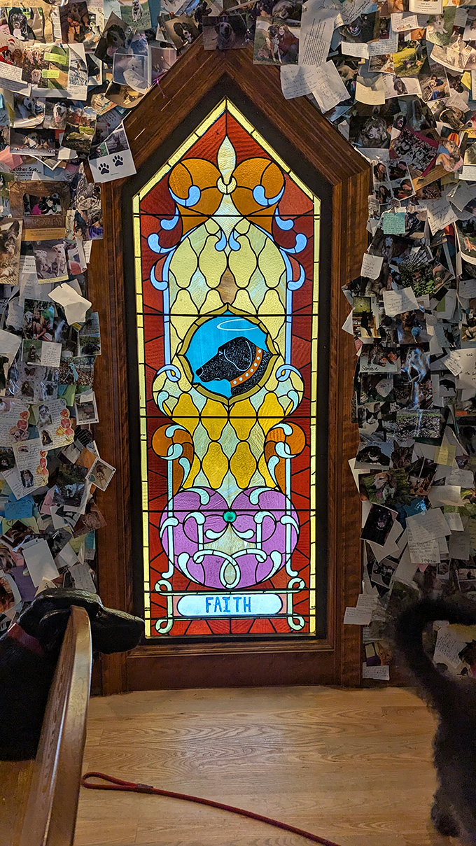 Stained glass windows featuring canine silhouettes cast colorful light across the chapel floor, elevating everyday dog moments to sacred art.