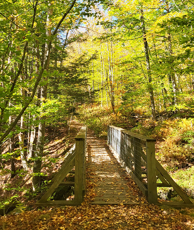 Sunlight filters through Vermont's forest cathedral, illuminating this wooden bridge like a pathway to enchantment.