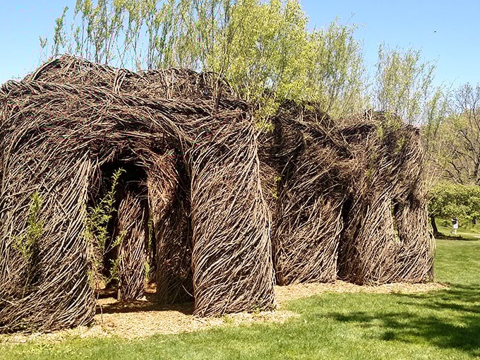 These incredible living sculptures invite visitors to step through nature's own architectural masterpieces.