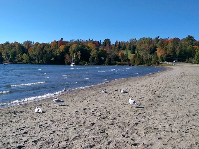 Sandy beaches and gentle waves invite visitors to dip their toes – or brave the "refreshing" waters if feeling particularly adventurous.