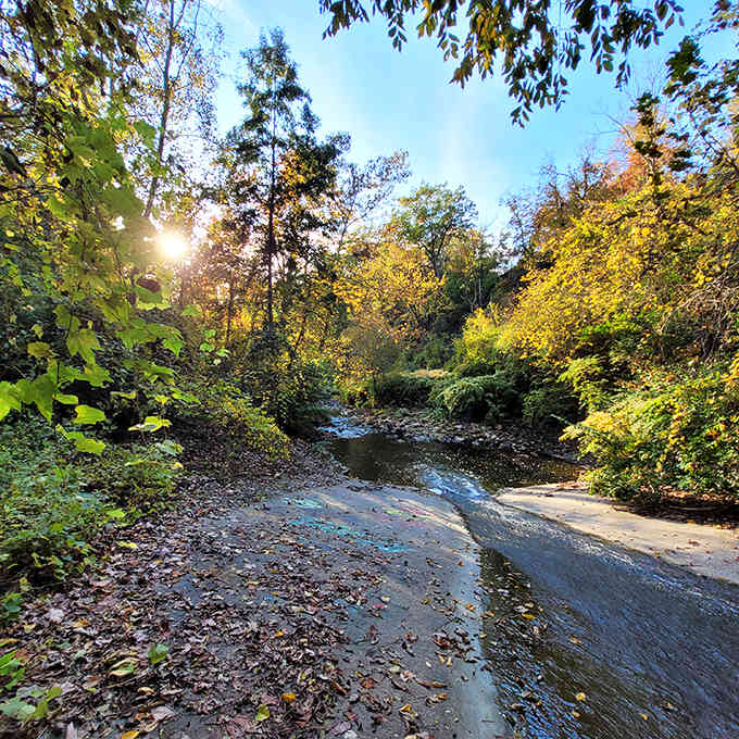 Sunlight dapples the creek bed, creating a mosaic of shadows and light that changes with every passing cloud.