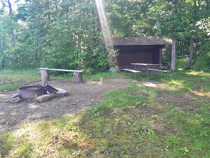 This rustic fire ring and picnic setup looks like the set of every camping commercial, except this one's real and waiting for your marshmallows.