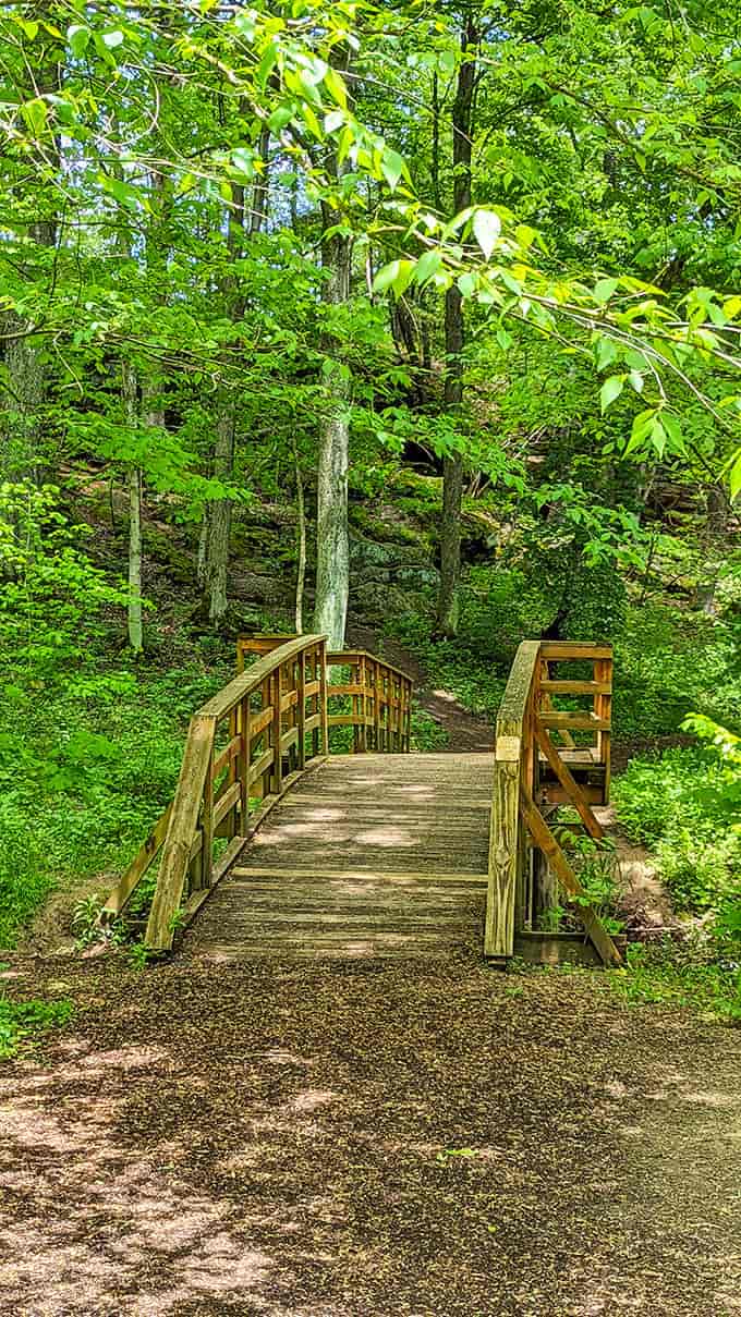This wooden footbridge isn't just functional&mdash;it's the gateway to adventure, promising natural wonders just beyond its weathered planks.