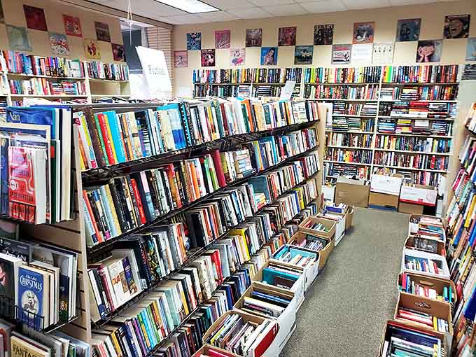 Floor-to-ceiling shelves create a maze of literary neighborhoods, each aisle promising new discoveries for the patient explorer.