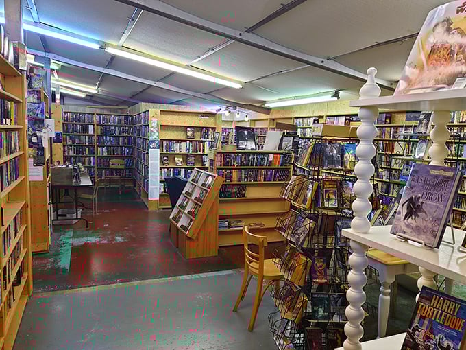 Wooden shelves stretch toward fluorescent lights, creating a maze of literary possibilities where getting happily lost is inevitable.