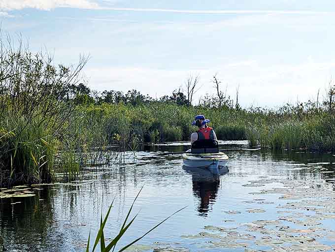 Serenity in motion as a kayaker glides through marsh waters, proving some of life's best moments happen when you're literally just going with the flow.