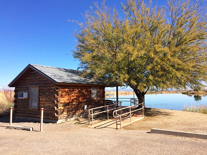 This lakeside cabin isn't just accommodation&mdash;it's front-row seating to nature's greatest show, complete with water views that hotel chains would charge quadruple for.