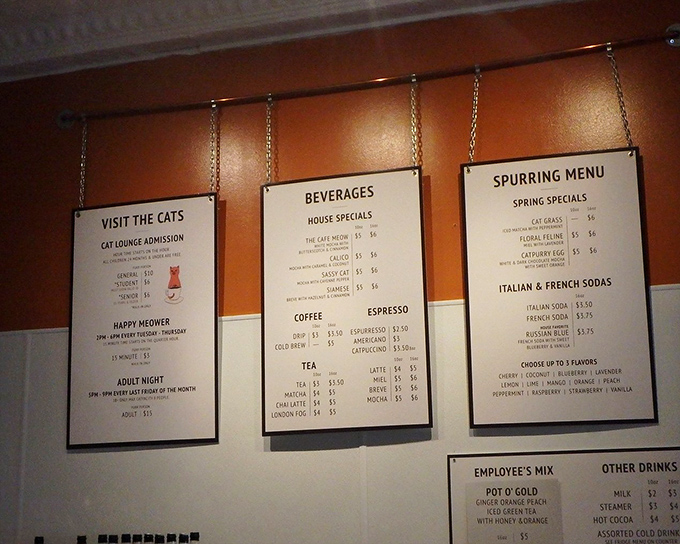 The menu board tempts visitors with specialty drinks and admission details for the cat lounge &ndash; Happy Meower, anyone?