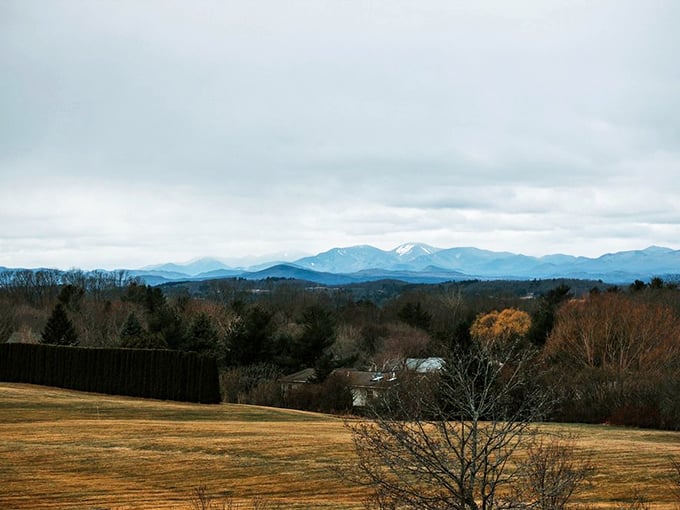 Winter transforms the distant mountains into a dramatic silhouette, their snow-capped peaks standing like sentinels against the sky.