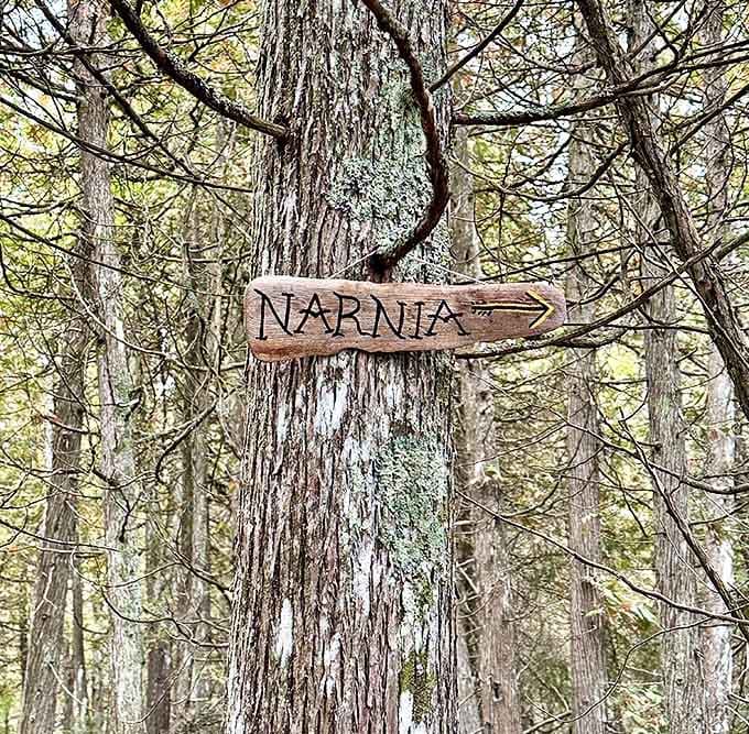 Follow the wooden sign to Narnia&mdash;no wardrobe required! This whimsical marker points the way to Michigan's most magical forest trail.