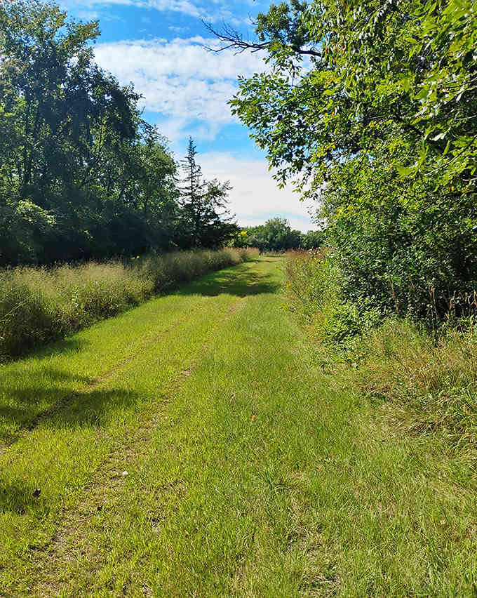 Nature reclaims the edges of this tranquil path, inviting visitors to slow down and step back in time.