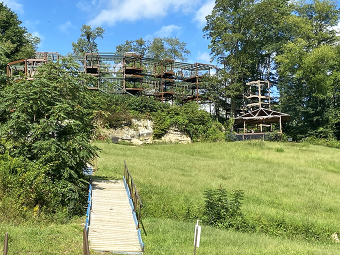 A labyrinth of wooden platforms and rope bridges stretches across the forest canopy, daring visitors to defy gravity and common sense.