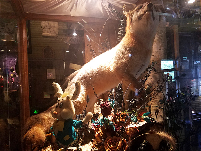 This taxidermy display proves that even in death, wildlife maintains a certain dignity &ndash; or at least a good spot in the museum's eclectic collection.