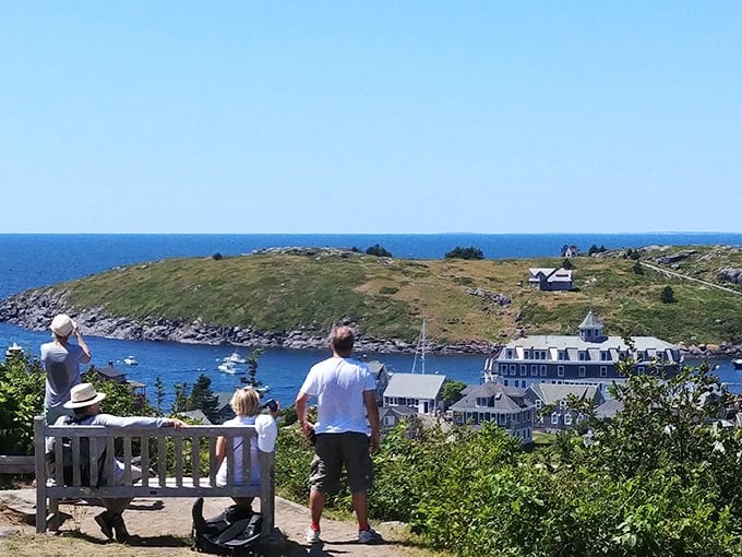 Nature's perfect viewing platform &ndash; this simple bench offers million-dollar vistas of crashing waves and distant horizons that no smartphone can truly capture.