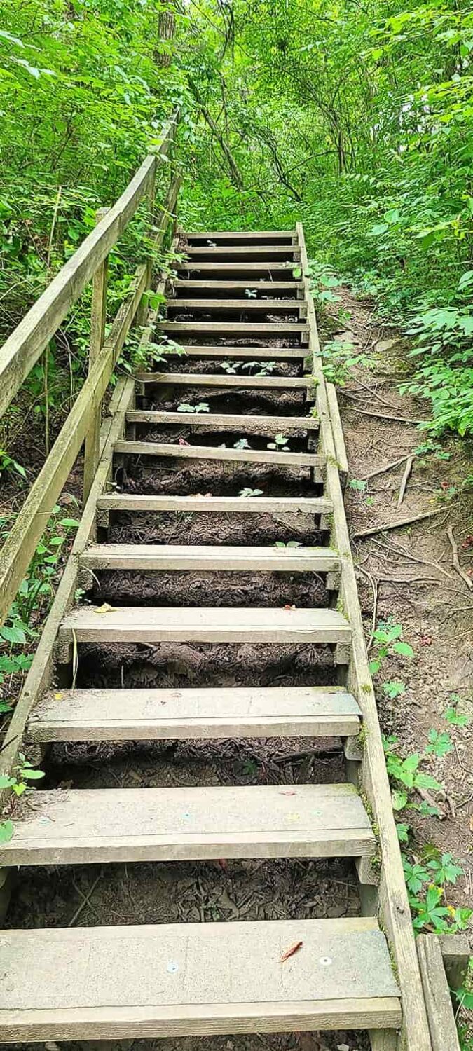 These wooden stairs might look like they're leading to your cardio doom, but trust me &ndash; the view at the top makes every step worth it!