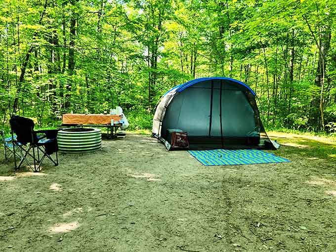 Camping nirvana: Where your morning coffee comes with a side of birdsong and your evening s'mores are seasoned with lake breeze.