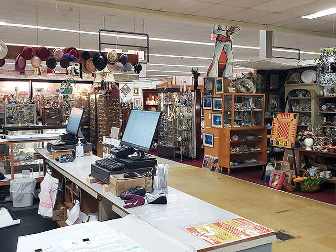 Vintage collectibles and jewelry await behind glass cases, each item with its own story and history just waiting to be discovered.