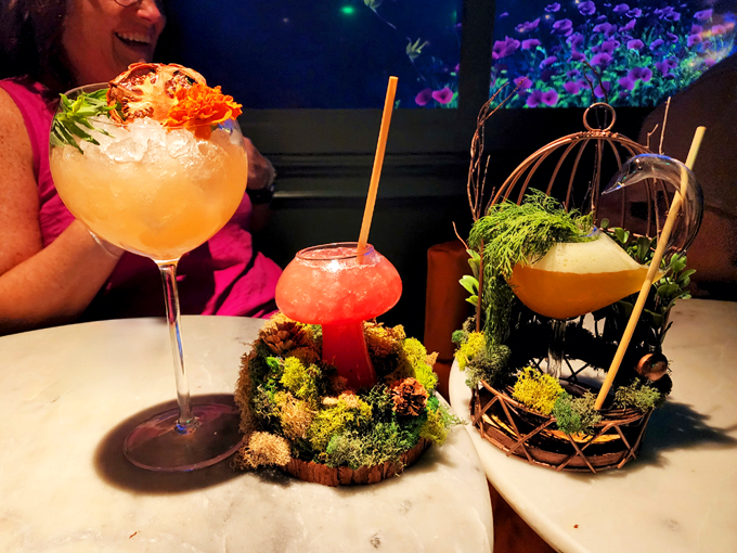 36 below at sip coffee & beer 6