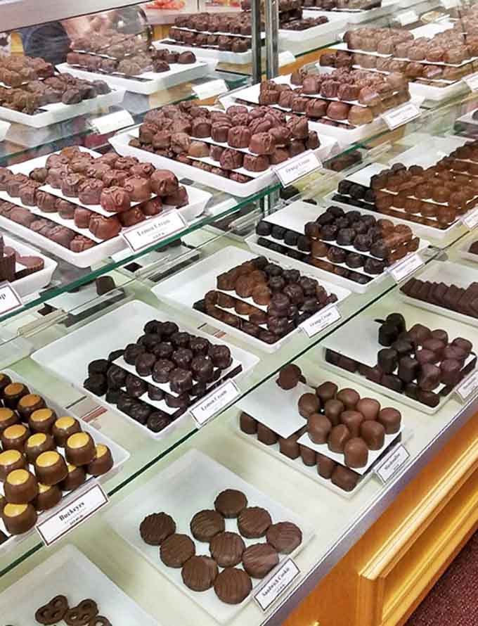 The chocolate display case &ndash; where diets go to die and happiness begins. Each tray holds bite-sized morsels of pure bliss.