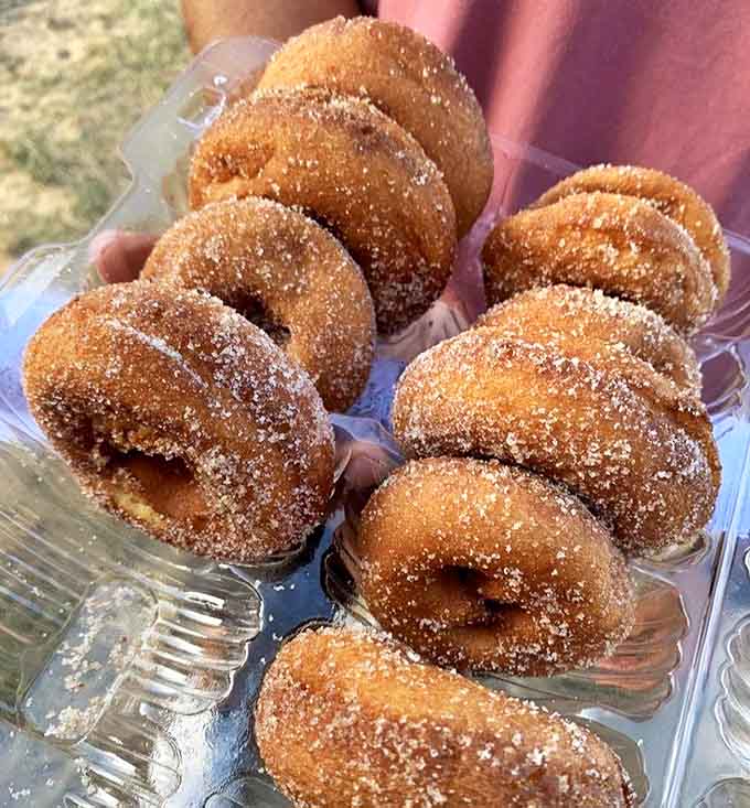Golden-brown perfection dusted with cinnamon sugar &ndash; these apple cider donuts have converted more skeptics than a revival meeting.