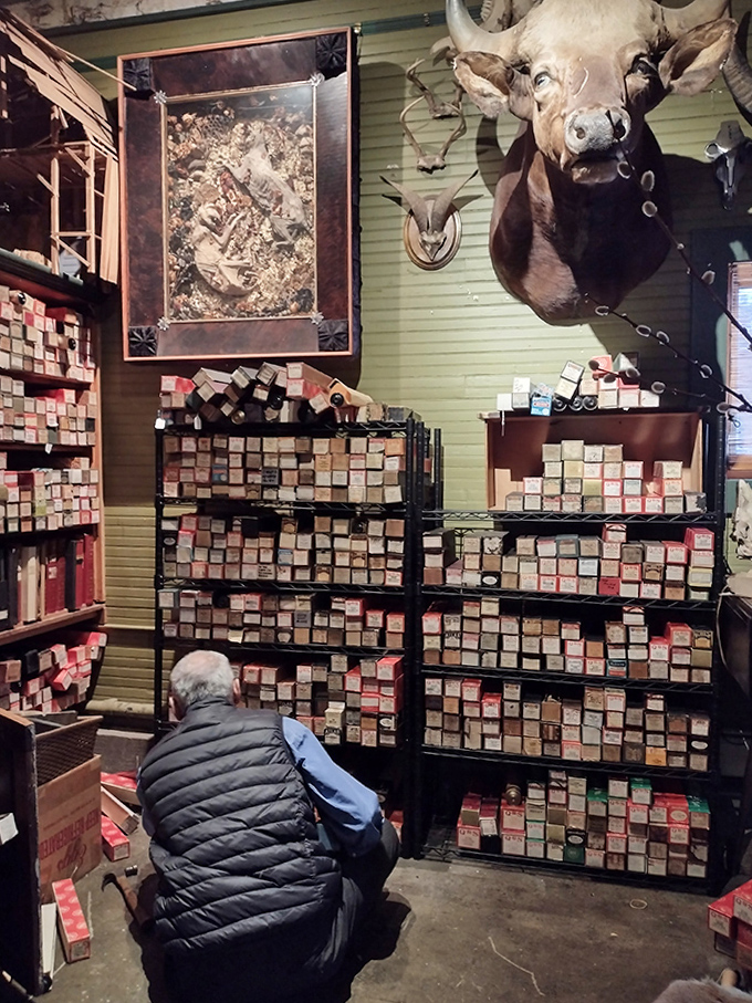 Where else can you browse historical artifacts while a moose head keeps silent watch? Only at this Vermont cabinet of curiosities.