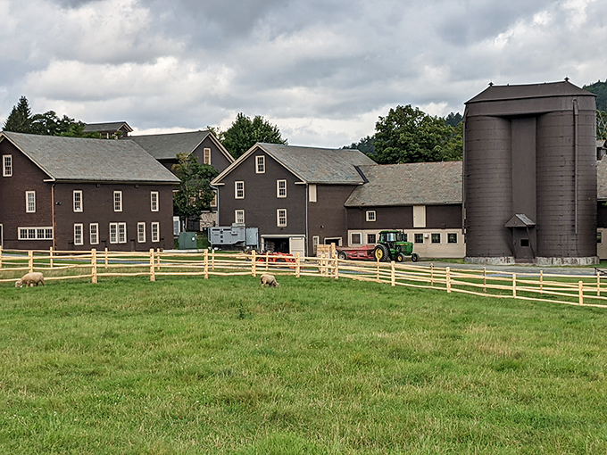 Billings Farm & Museum Where Jersey cows with supermodel eyelashes teach city kids where milk really comes from (spoiler: not cartons).