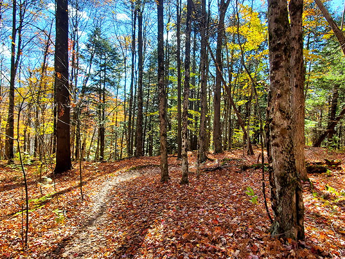 Cady Hill Forest's leaf-strewn trails beckon adventurers into a golden cathedral of maples and birches &ndash; nature's most spectacular light show.