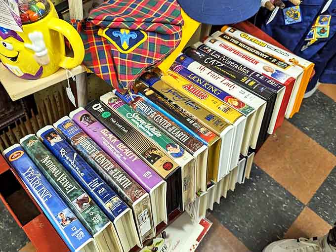 Books piled high enough to make any librarian nervous, each spine promising stories that survived decades to find new readers.