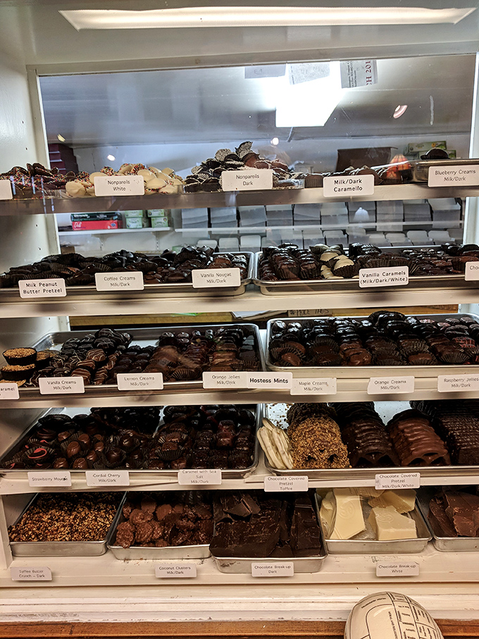 Chocolate soldiers standing at attention, awaiting your selection. Each tray holds edible artwork that would make Warhol trade his soup cans for cocoa.