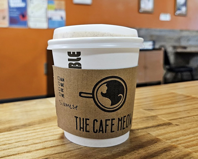 A perfectly crafted coffee in a signature cup &ndash; the first delicious step in your Caf&eacute; Meow adventure.