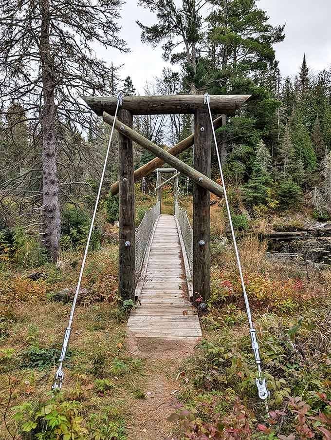 This rustic suspension bridge isn't just a crossing&mdash;it's a portal between worlds, inviting adventurous souls deeper into the wilderness.
