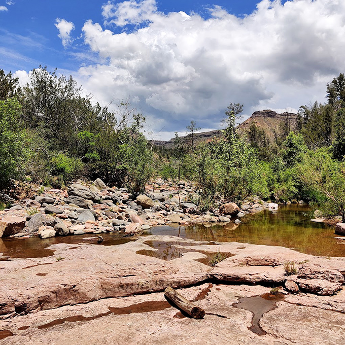 Desert meets oasis: The rocky landscape gives way to this surprising stream, like finding a cold lemonade stand in the Sahara.