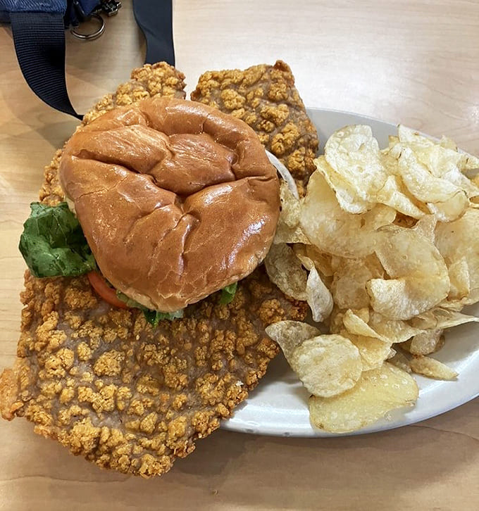 Behold the legendary Texas tenderloin, a golden masterpiece that makes the bun look like a decorative garnish.