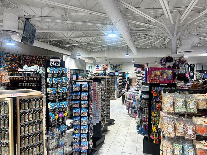 Navigate through aisles of Florida memorabilia where every souvenir imaginable waits to claim precious suitcase space.