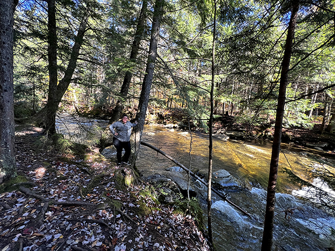 The forest trail to Bingham Falls offers its own rewards &ndash; a carpet of leaves guiding visitors through Vermont's stunning woodland.