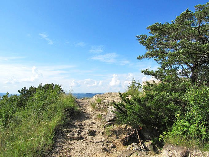 Garvin Heights serves up panoramic views that make smartphones work overtime and conversations pause mid-sentence.