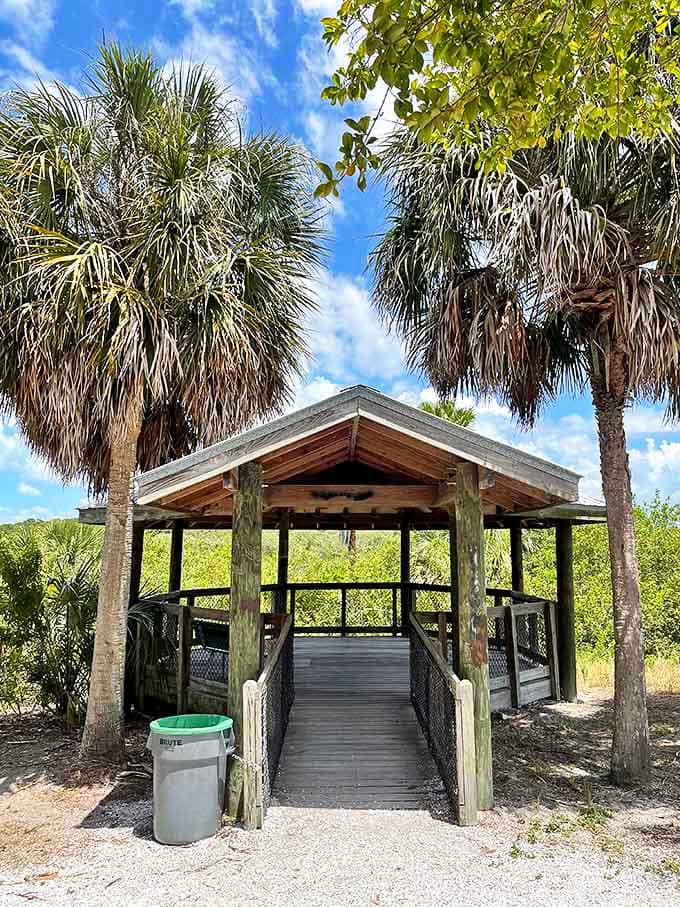 The gazebo stands like a welcoming sentinel, offering shade and spectacular views after your trek through Florida's wild side.