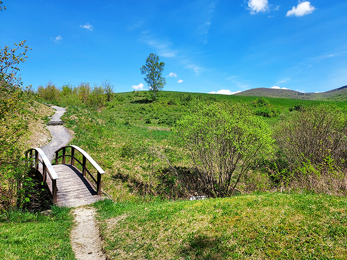 A grassy knoll crowned with an inviting chair &ndash; nature's perfect viewpoint for contemplating the rolling Vermont landscape below.