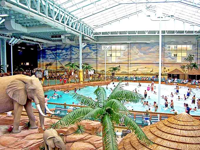 Indoor swimming paradise where winter blues go to die &ndash; palm trees, perfect temperatures, and the distant sound of happy screams.