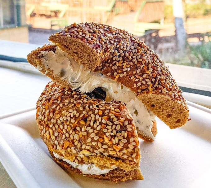 Fresh bagels paired with creamy spreads create the kind of simple perfection that makes you wonder why anyone complicates breakfast.