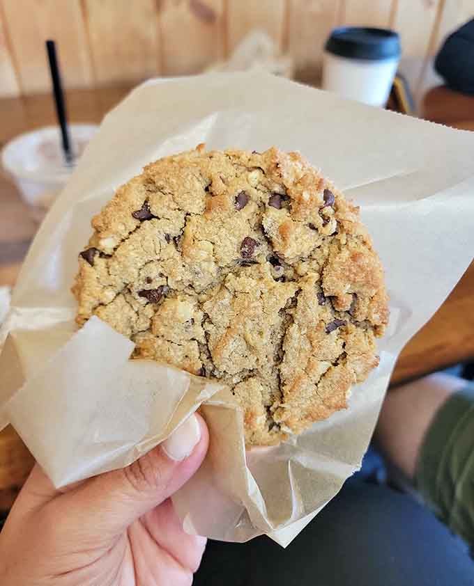 Behold the chocolate chip cookie in all its glory, studded with chips like edible treasure waiting to be discovered.