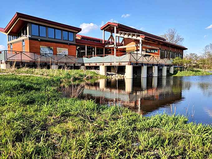 Knoch Knolls Nature Center hovers above the water like a modern treehouse, inviting nature lovers to explore Illinois' native ecosystems.