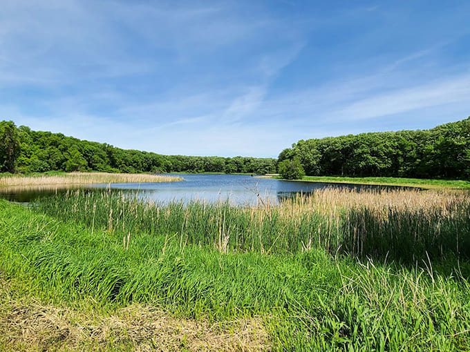 Wetlands and open water create a patchwork of ecosystems where wildlife thrives and photographers find their happy place.