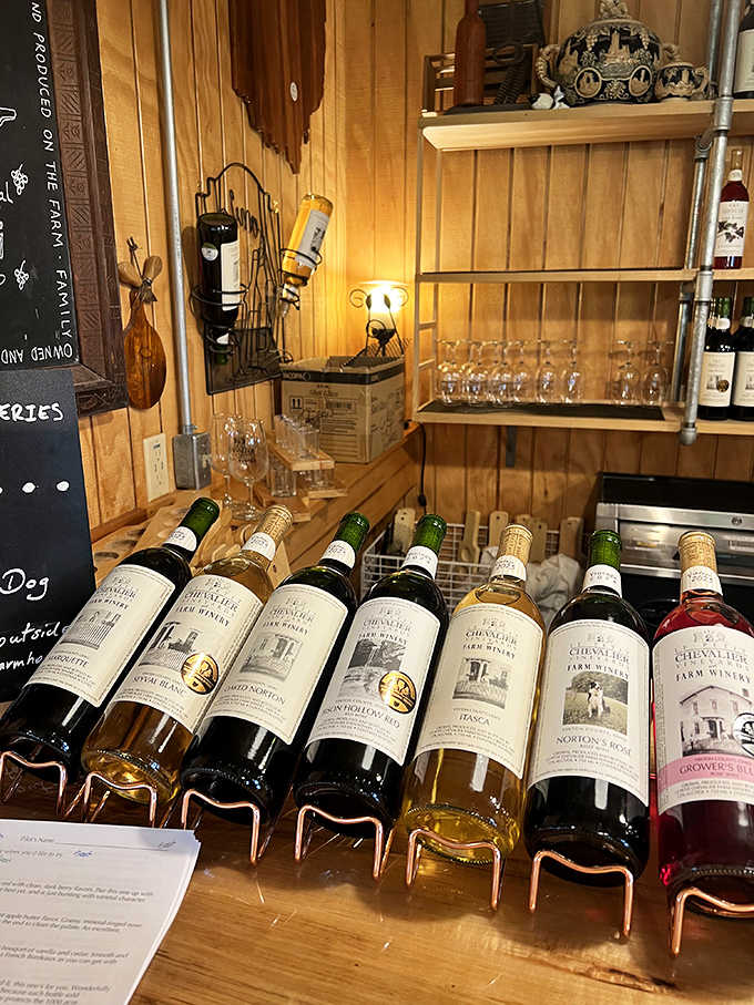 Bottles stand like soldiers at attention, each containing liquid stories of Ohio terroir, patient craftsmanship, and seasonal sunshine.